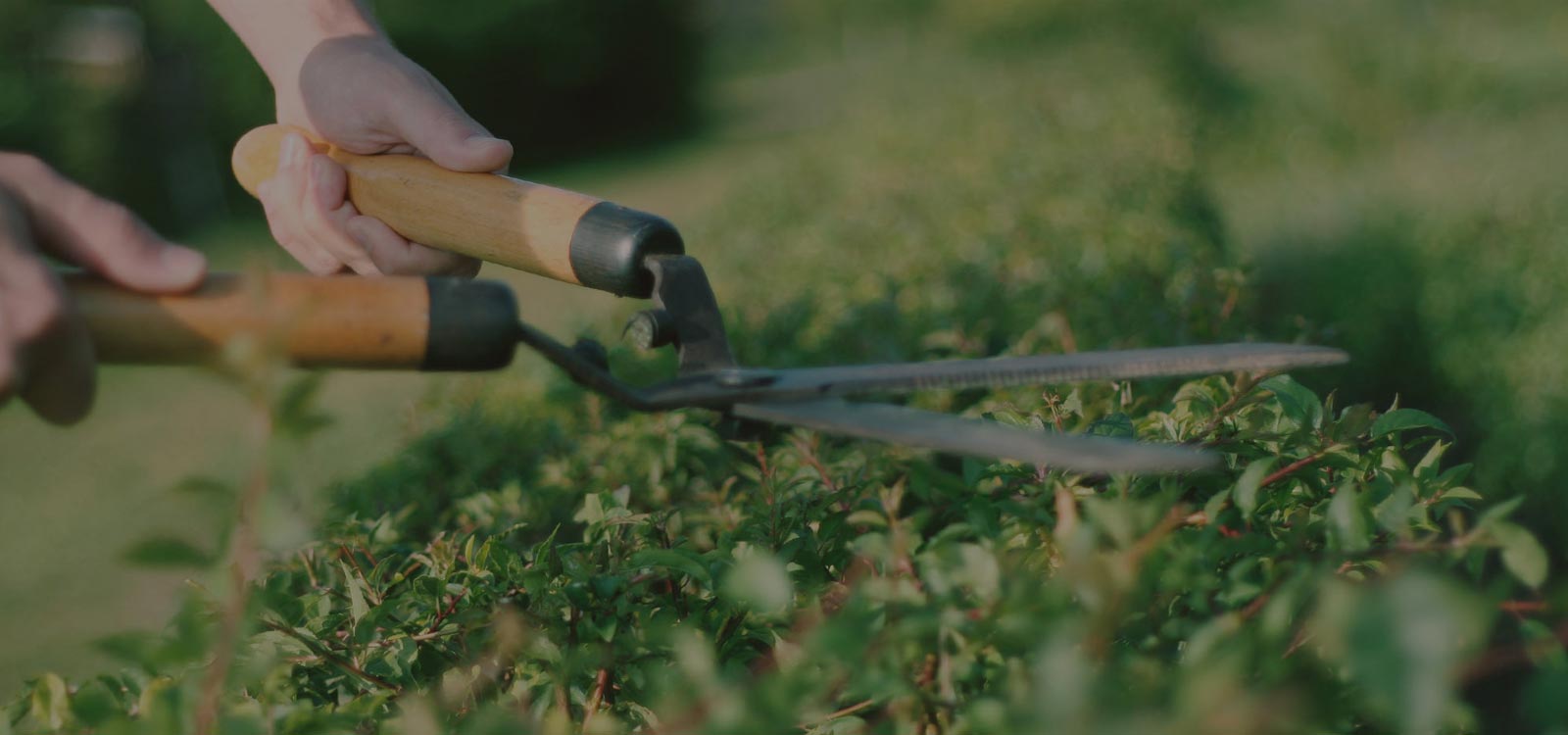 JNJ Landscaping Design, Lawn Maintenance - Malverne, Lynbrook- JNJ ...