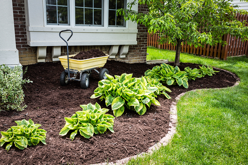 Mulch Installation JNJ Landscaping - JNJ Landscaping
