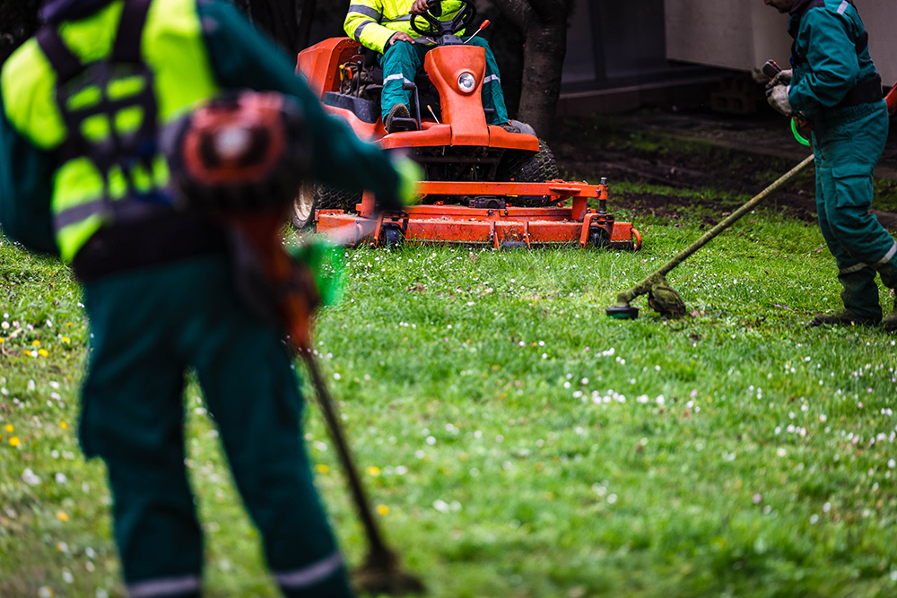 JNJ Landscaping Design, Lawn Maintenance - Malverne, Lynbrook- JNJ ...